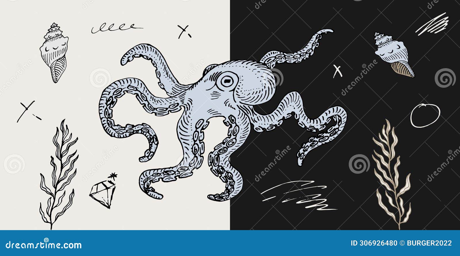 Vintage Kraken Illustration With Ship Name In Tony Diterlizzi Style ...