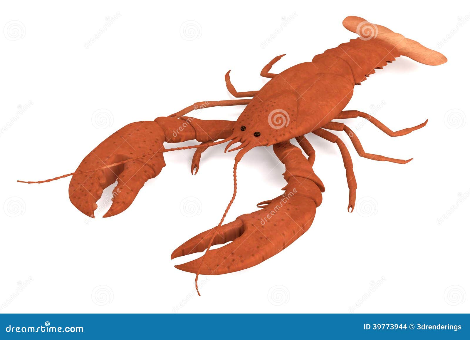 Krebs - Hummer stock abbildung. Illustration von nahrung - 39773944