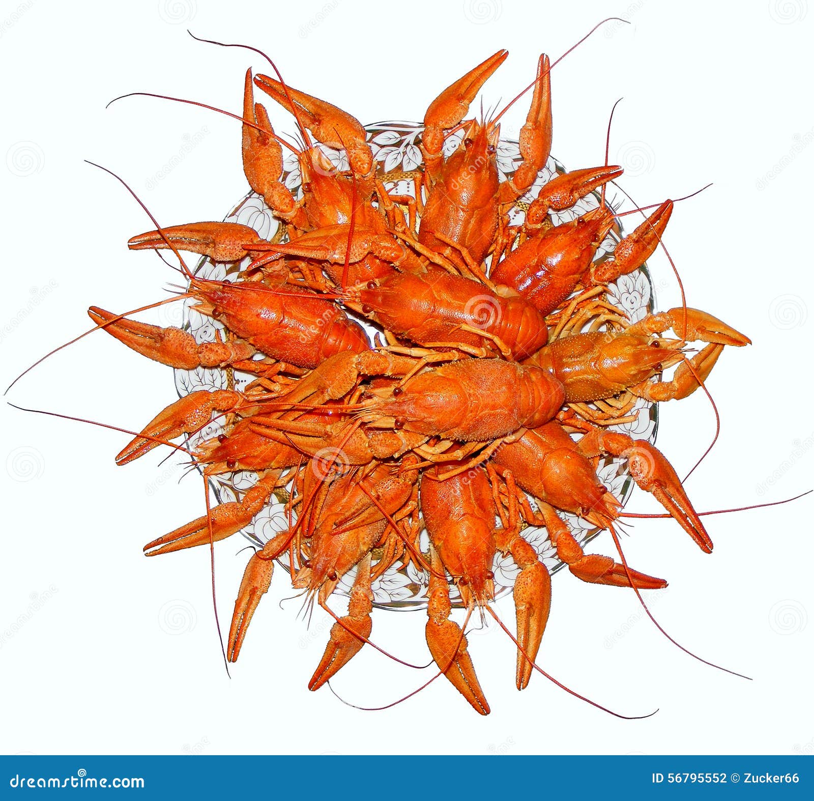 Krebse, Hummer gekocht stockfoto. Bild von thema, hummer - 56795552