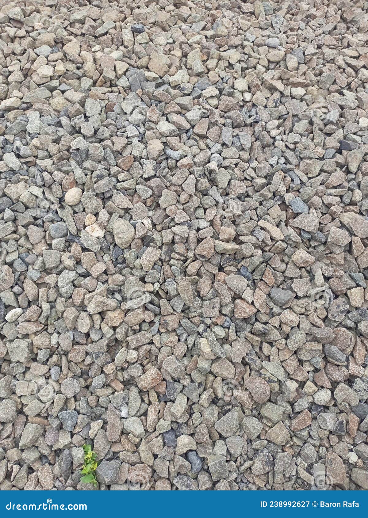 Kricak stock image. Image of stone, skin, kricak, texture - 238992627