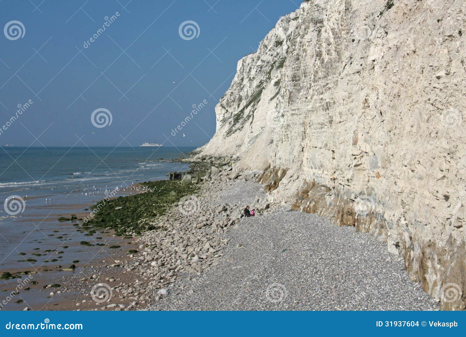 Krijtrotsen Op De Kust Van Het Engelse Kanaal Stock Foto - Image of ...