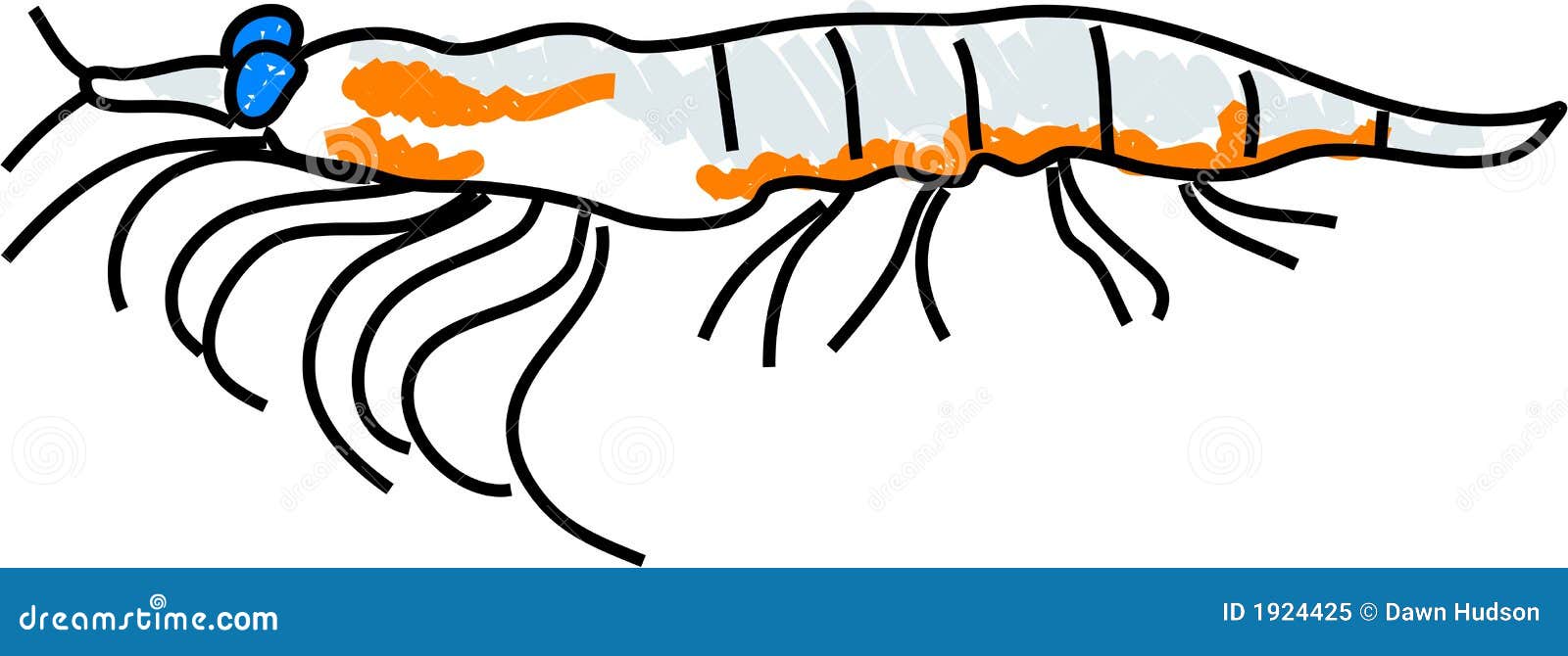 Krill stock illustration. Illustration of cartoon, isolated - 1924425