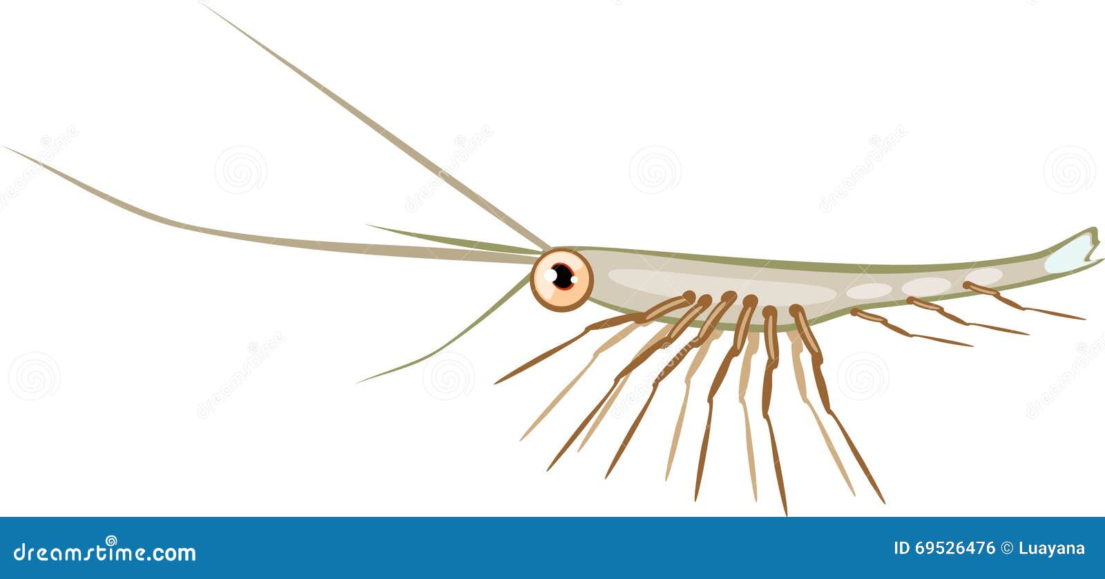 Krill Ilustraciones Stock, Vectores, Y Clipart – (328 Ilustraciones Stock)