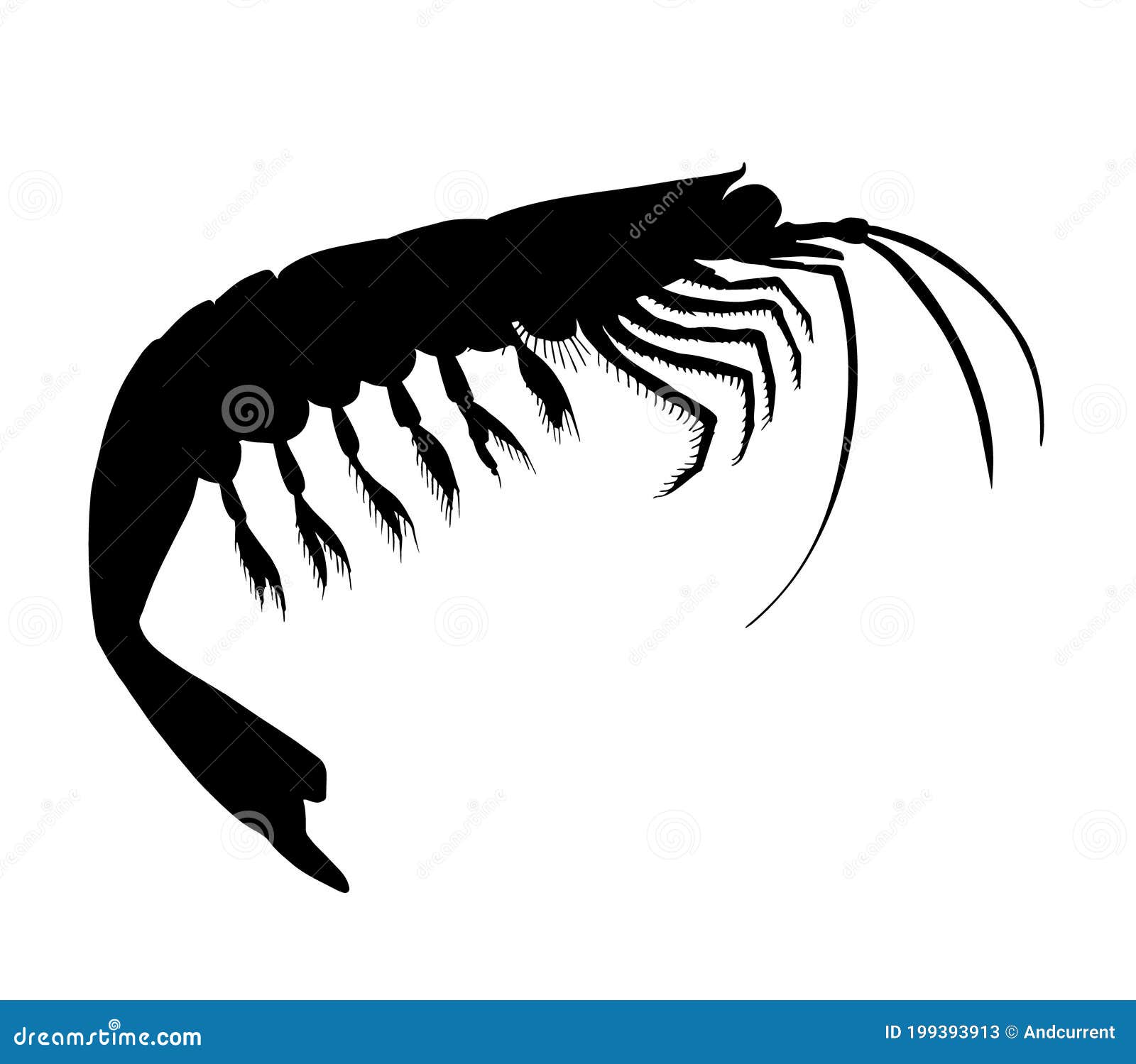 Krill. Hand Drawn Black Vector Silhouette Realistic Illustration. Stock ...