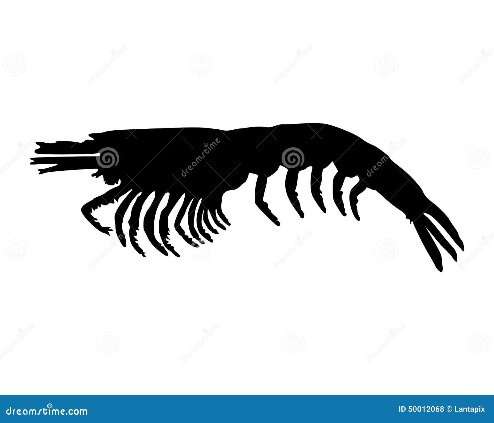 Krill On White Vector Illustration | CartoonDealer.com #50012068