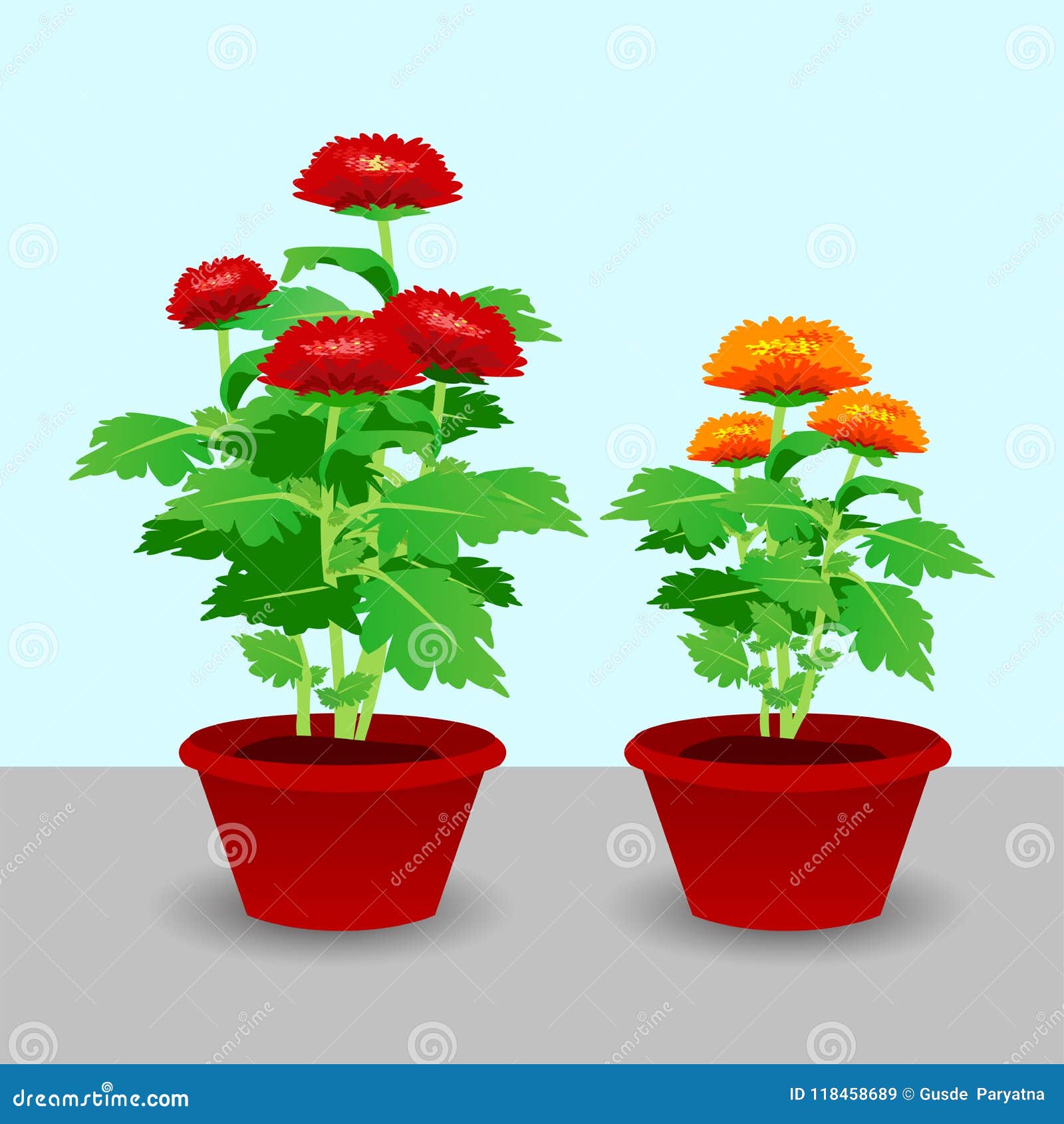 Krisan Flowers Plant stock vector. Illustration of vector - 118458689