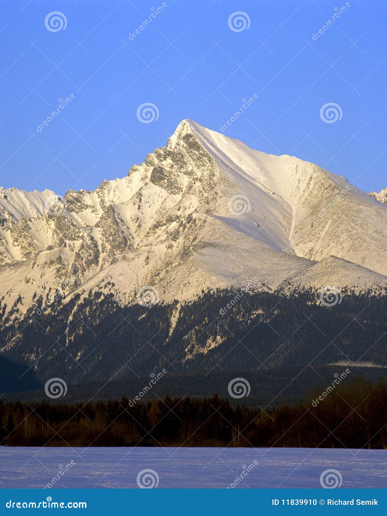 Krivan stock photo. Image of krivan, national, natural - 11839910