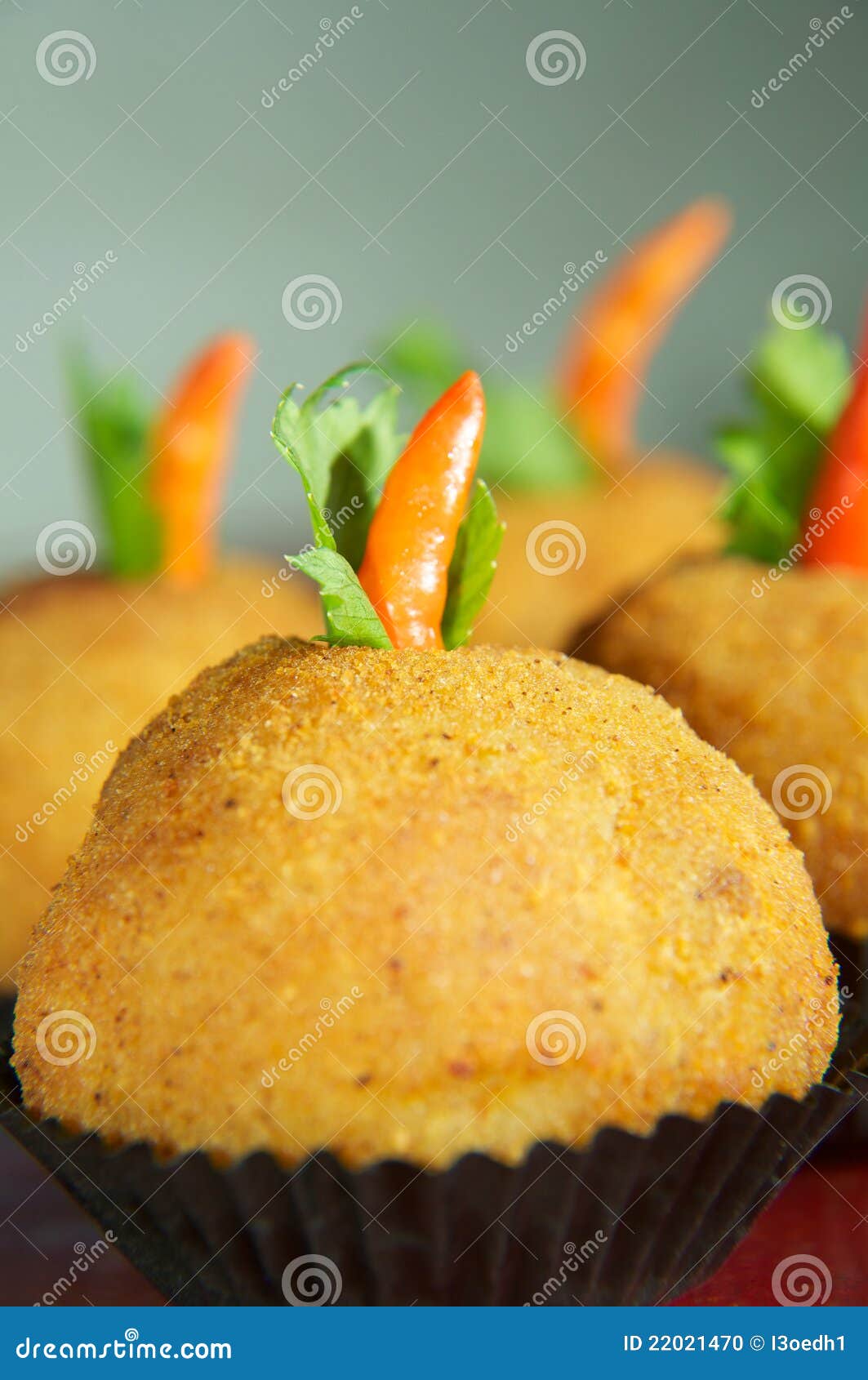 Kroket (croquette) stock photo. Image of croquette, traditional - 22021470