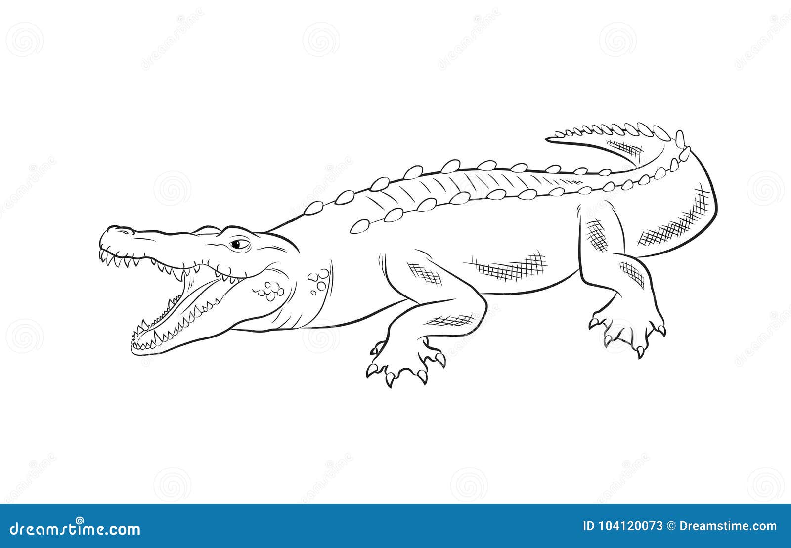 Krokodil Die Vectorillustratie Trekken Vector Illustratie ...