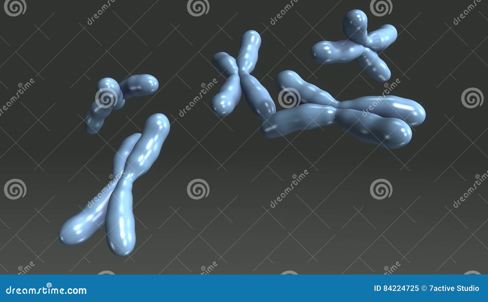 Kromosomer stock illustrationer. Illustration av biokemi - 84224725