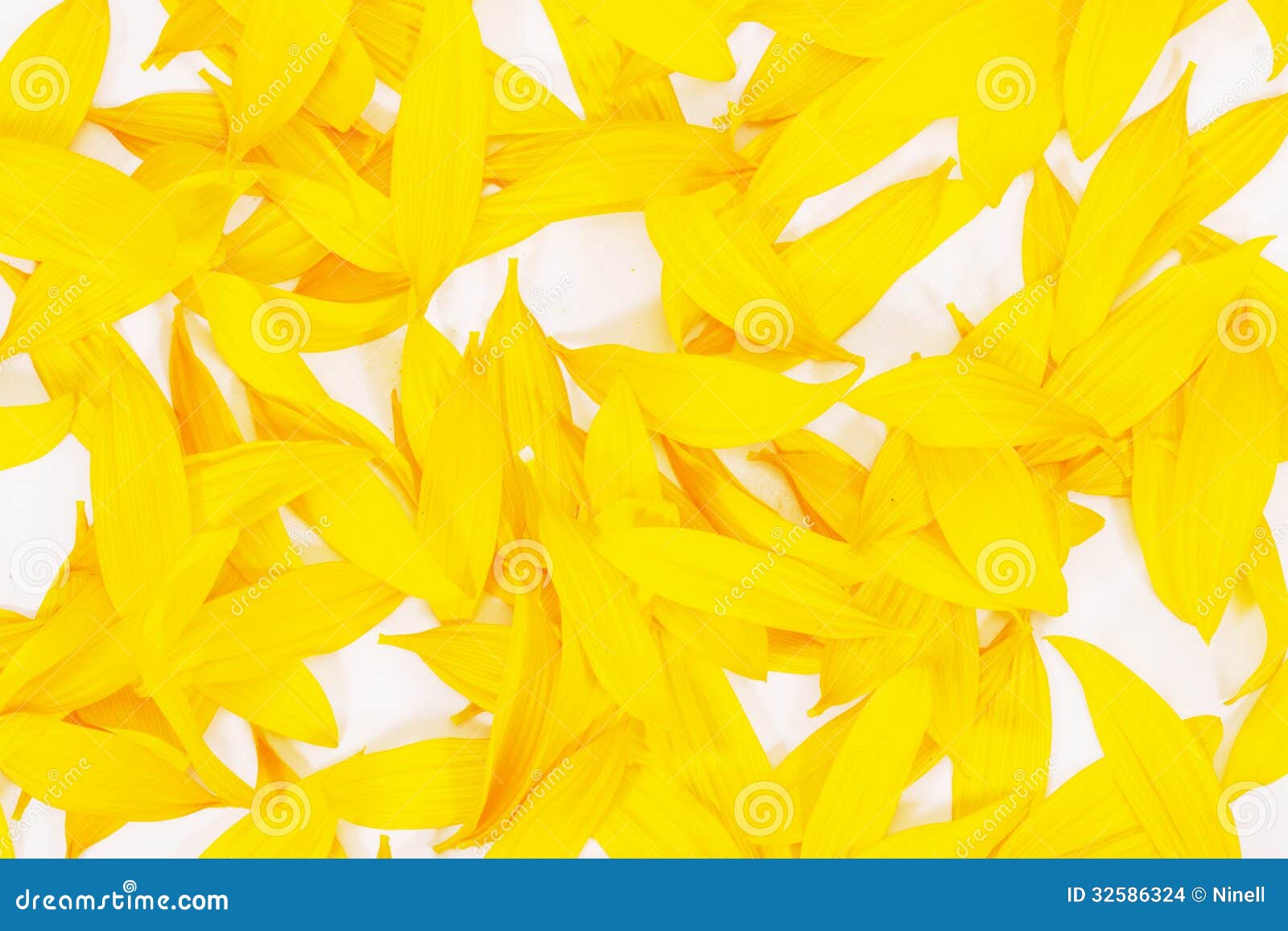 Kronblad arkivfoto. Bild av medicin, askfat, aromaterapi - 32586324