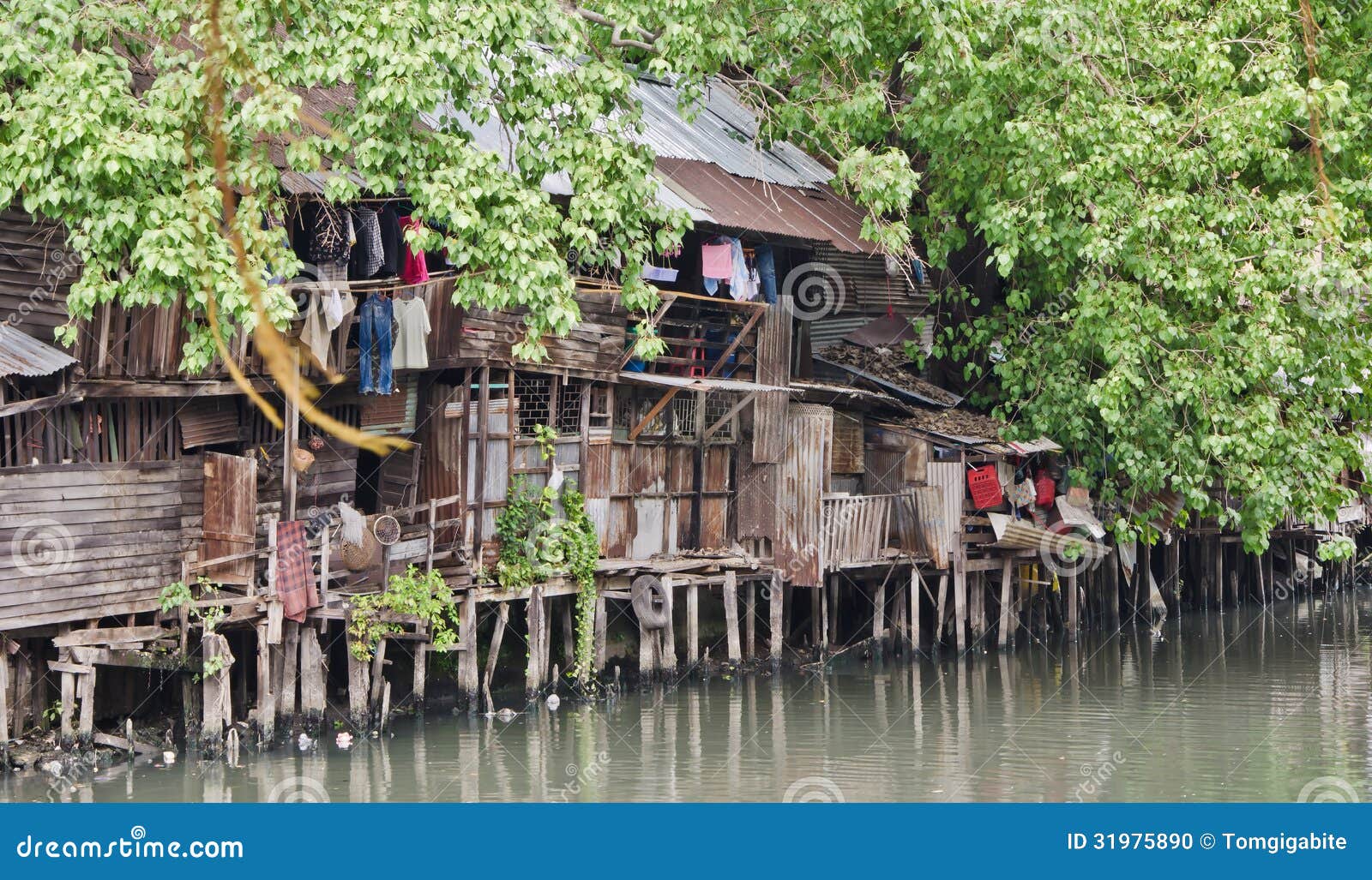 Krottenwijk op vuil kanaal stock foto. Image of economisch - 31975890