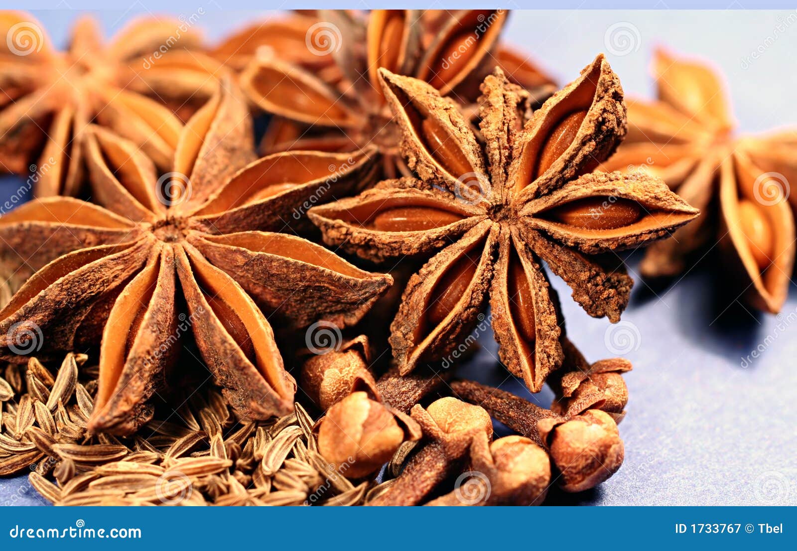 Kruid stock afbeelding. Image of anijszaad, karwij, leven - 1733767