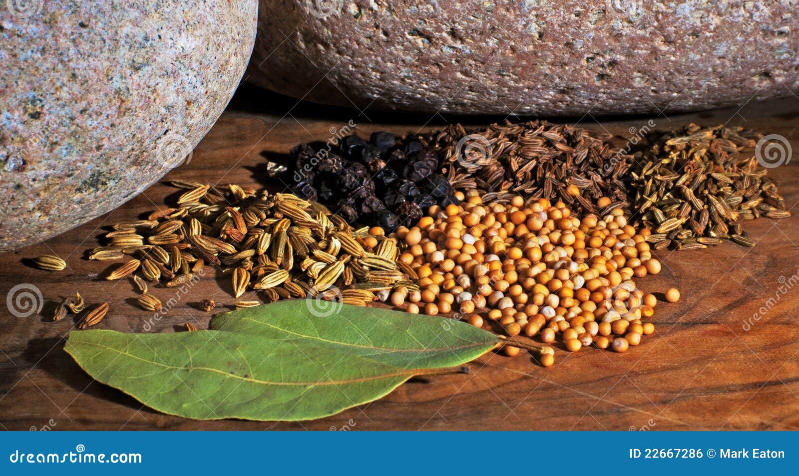 Kruiden & Kruiden stock foto. Image of dineer, dineren - 22667286