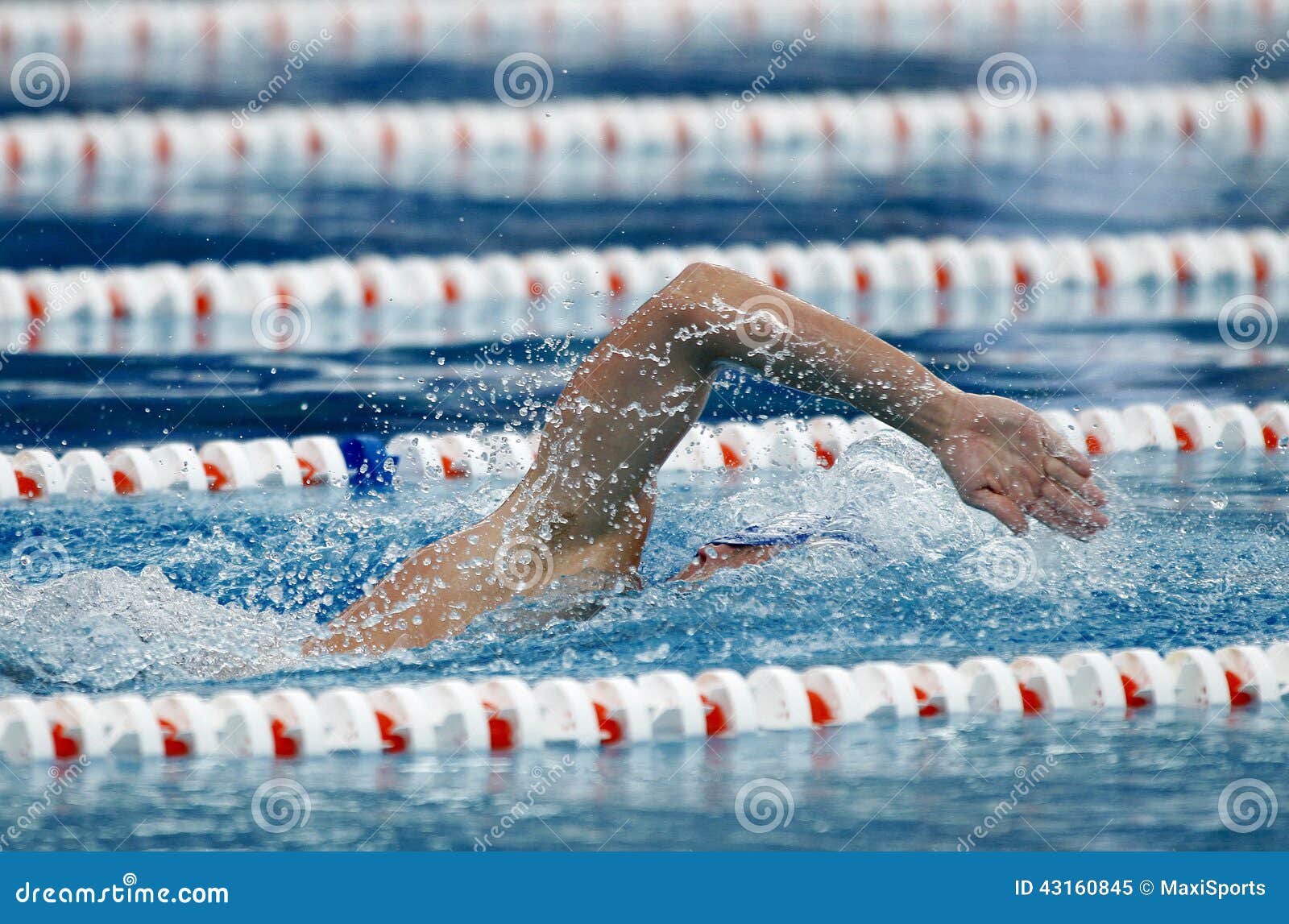 Kruip zwemmer stock afbeelding. Image of wapen, mannetje - 43160845