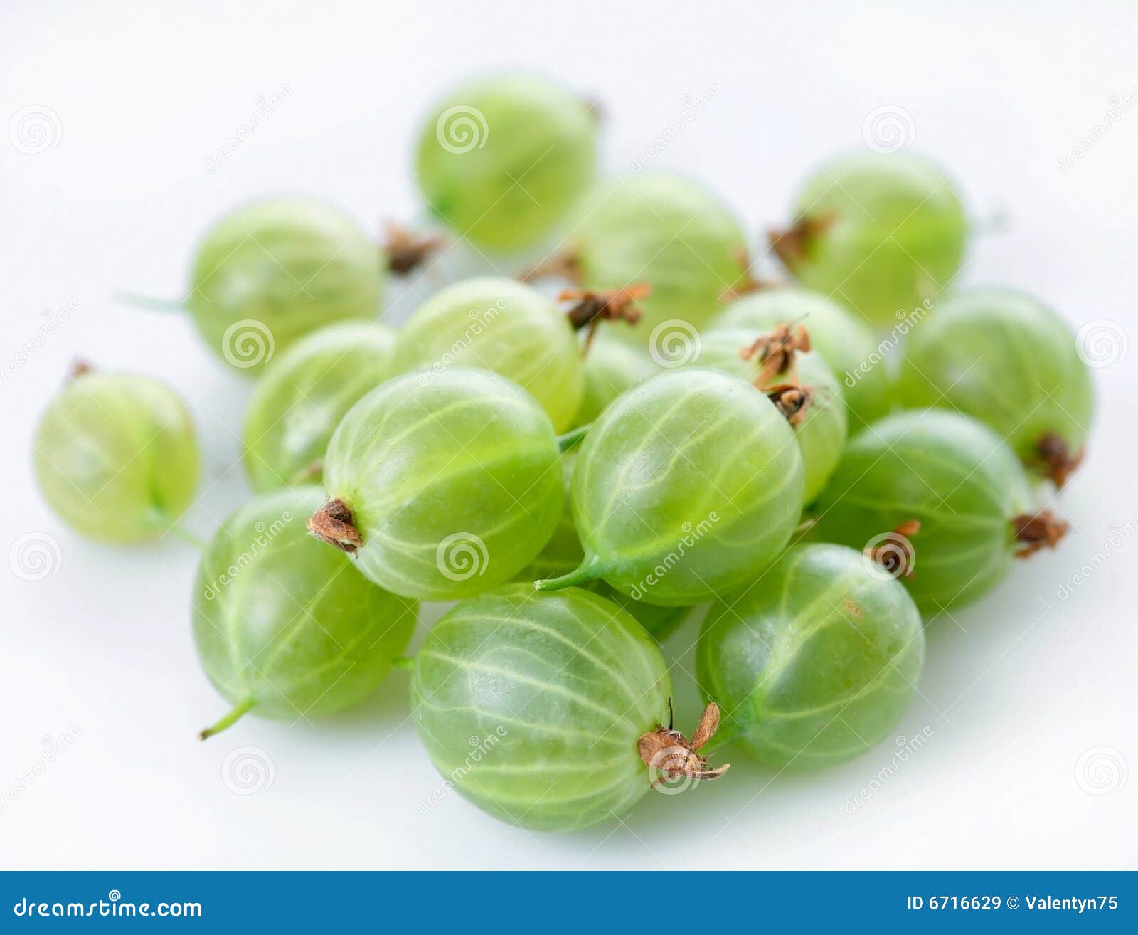 Kruisbes stock afbeelding. Image of kruisbes, voedsel - 6716629