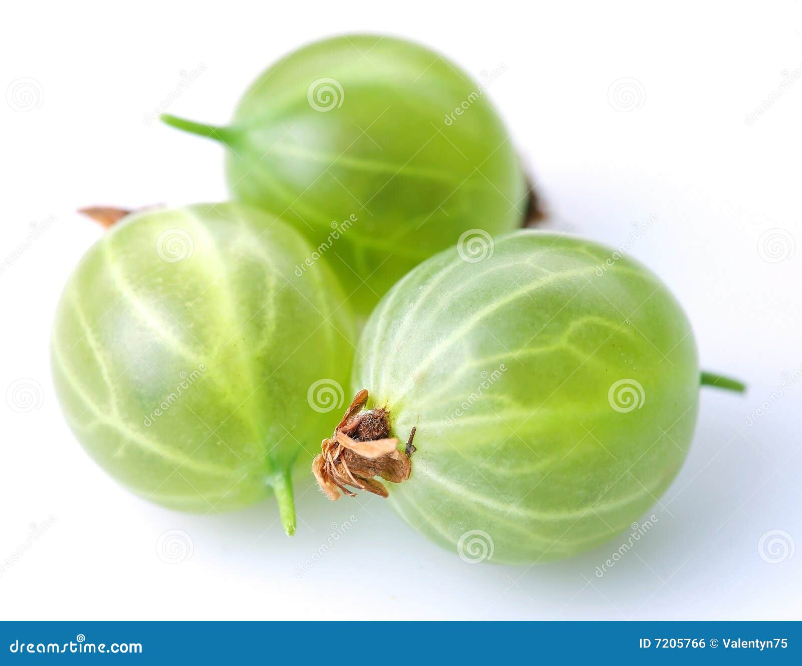 Kruisbes stock foto. Image of voedsel, mineraal, dieet - 7205766