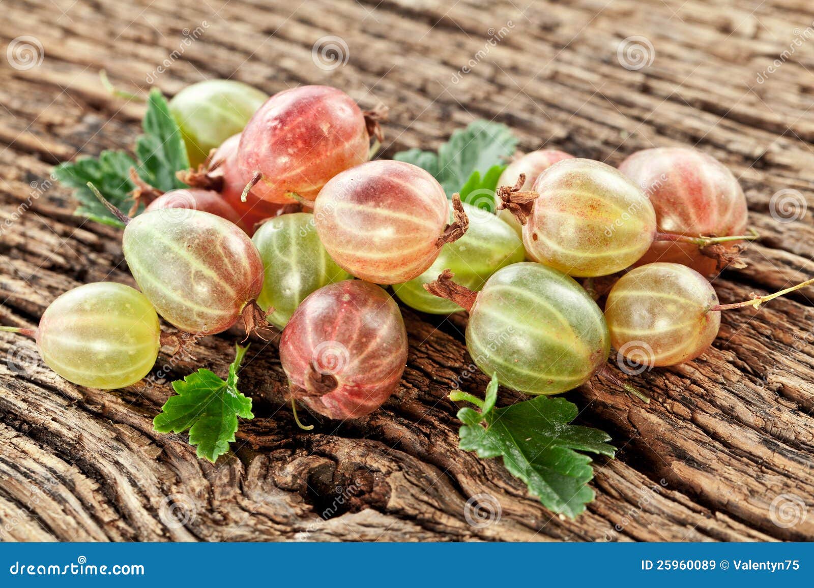 Kruisbessen met bladeren stock afbeelding. Image of delicatesse - 25960089