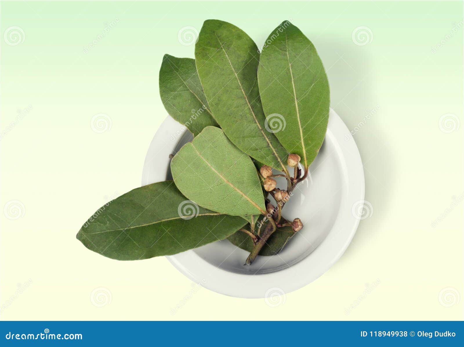 Krydda arkivfoto. Bild av kardemumma, paprika, bild - 118949938