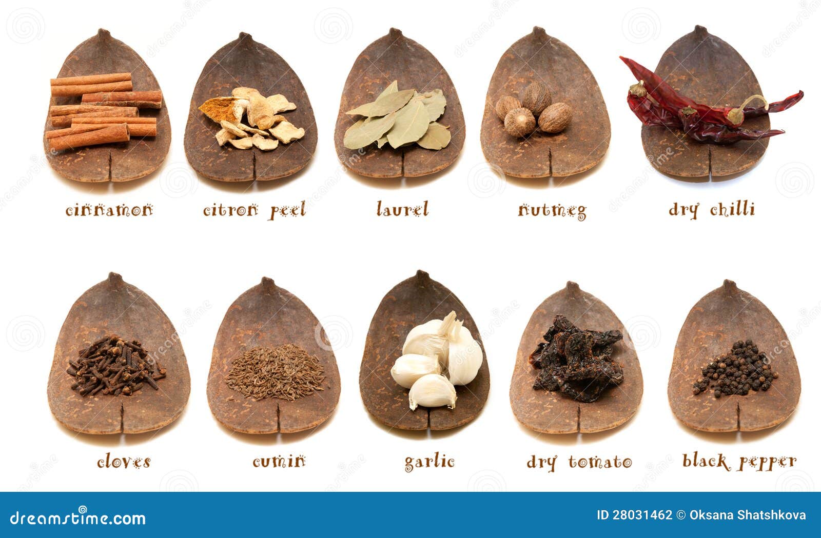 Krydda arkivfoto. Bild av samling, ingefära, garnering - 28031462