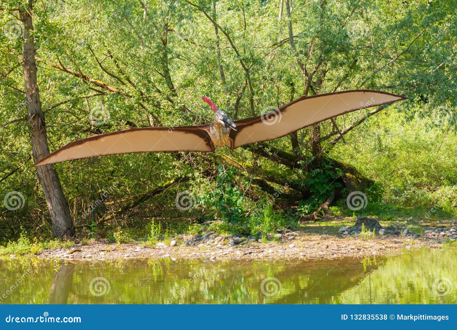 Kryptodrakon Vliegende Dinosaurus Over De Vijver Redactionele Stock ...
