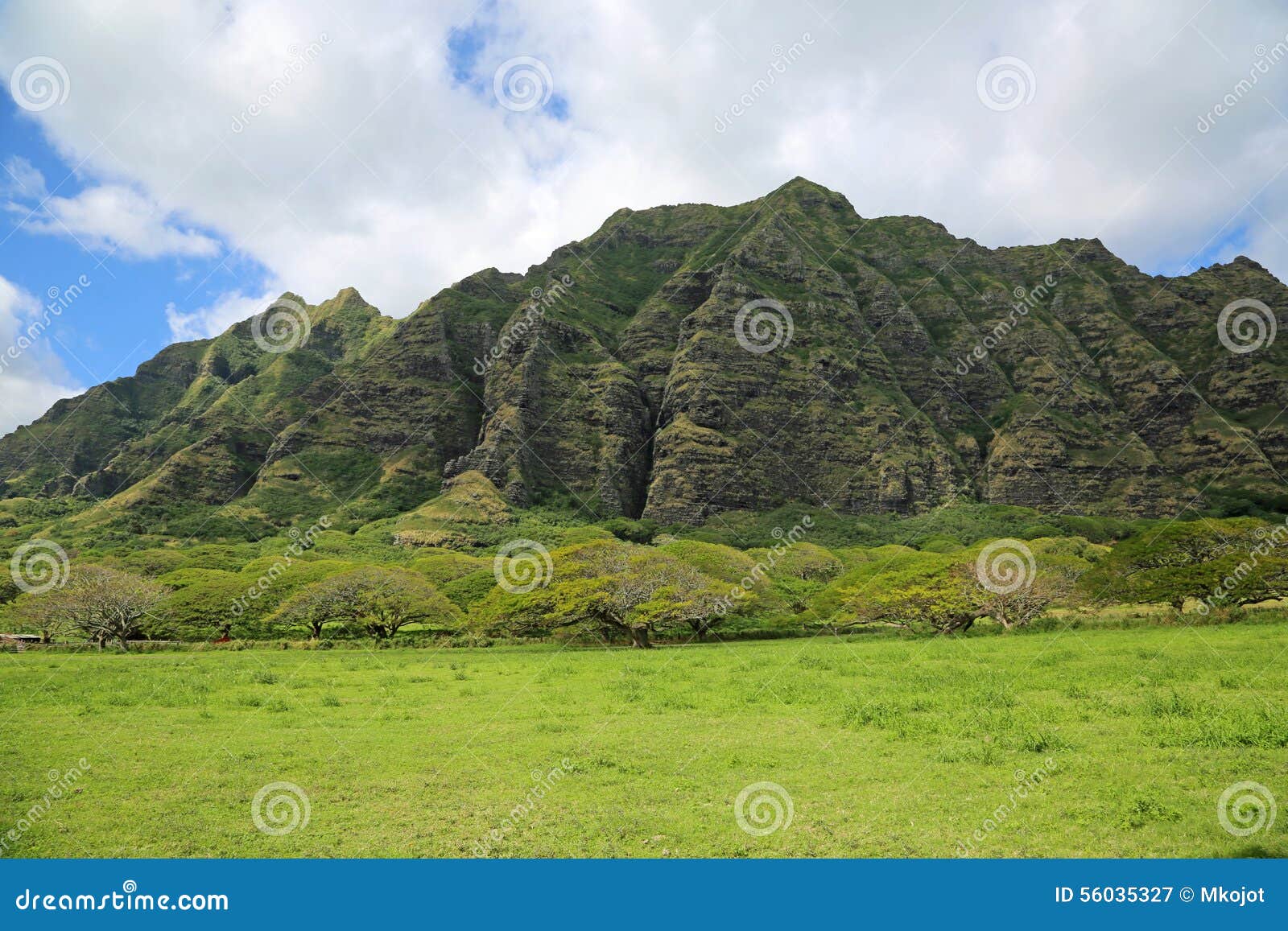 Kualoa Ranch stock image. Image of outdoors, grass, blue - 56035327