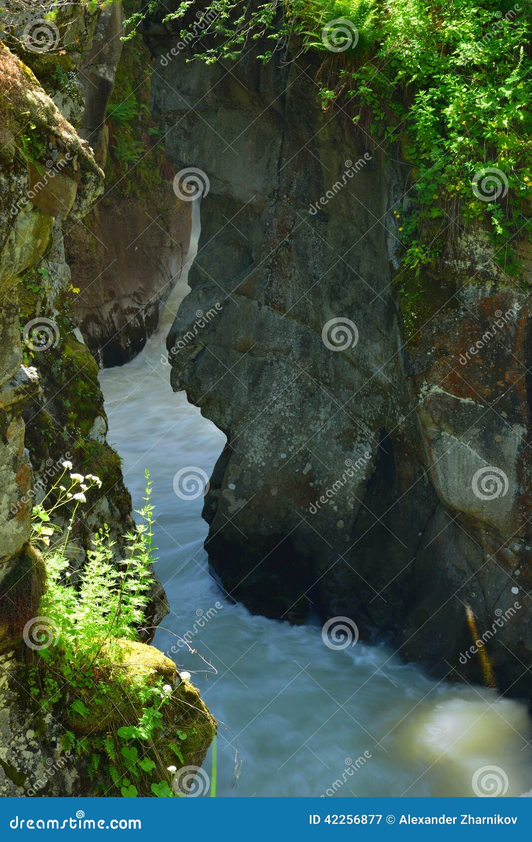 Kuban in mountains stock image. Image of kuban, mountains - 42256877