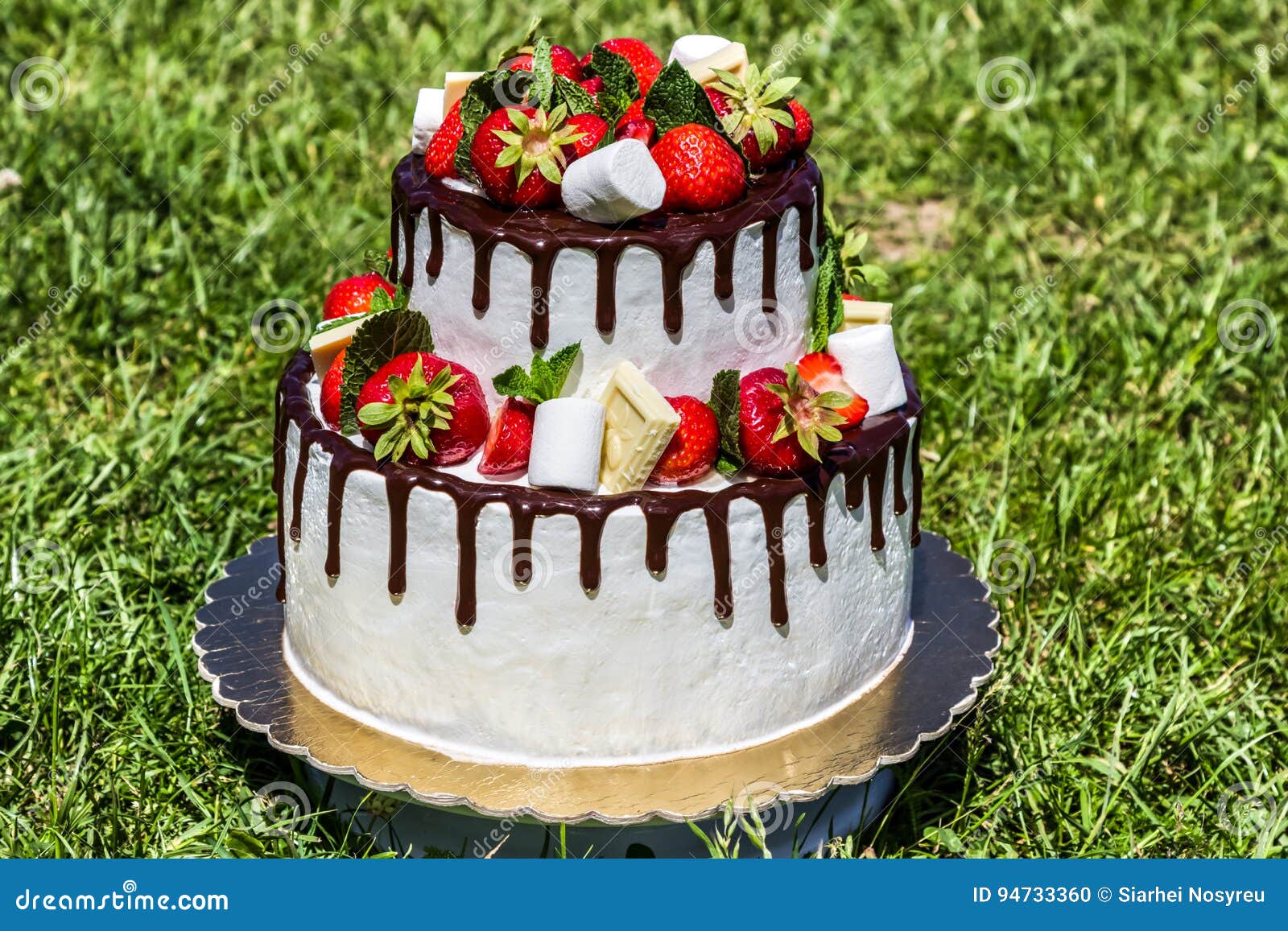 Kuchen Mit Zwei Reihen Mit Frischen Erdbeeren Stockfoto - Bild von ...