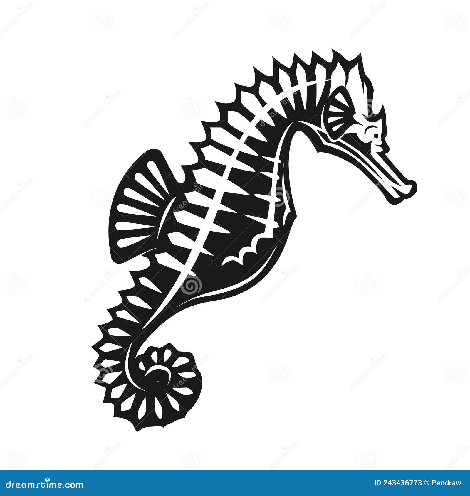 Seahorse Outline Vector Illustration Animals Royalty-Free Cartoon ...