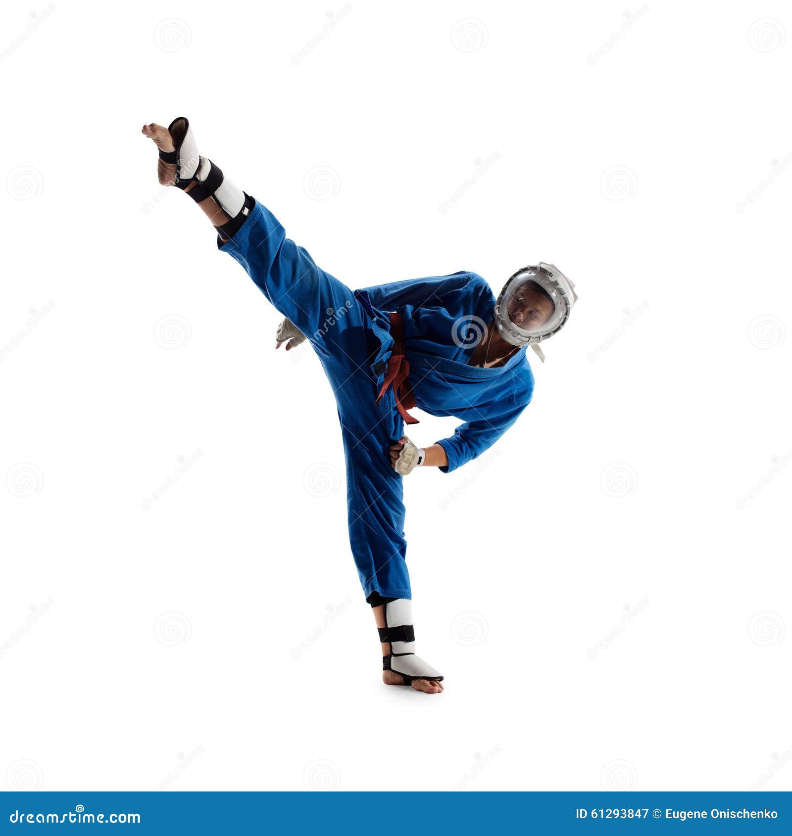 Kudo Fighters are Fighting Isolated Stock Image - Image of professional ...