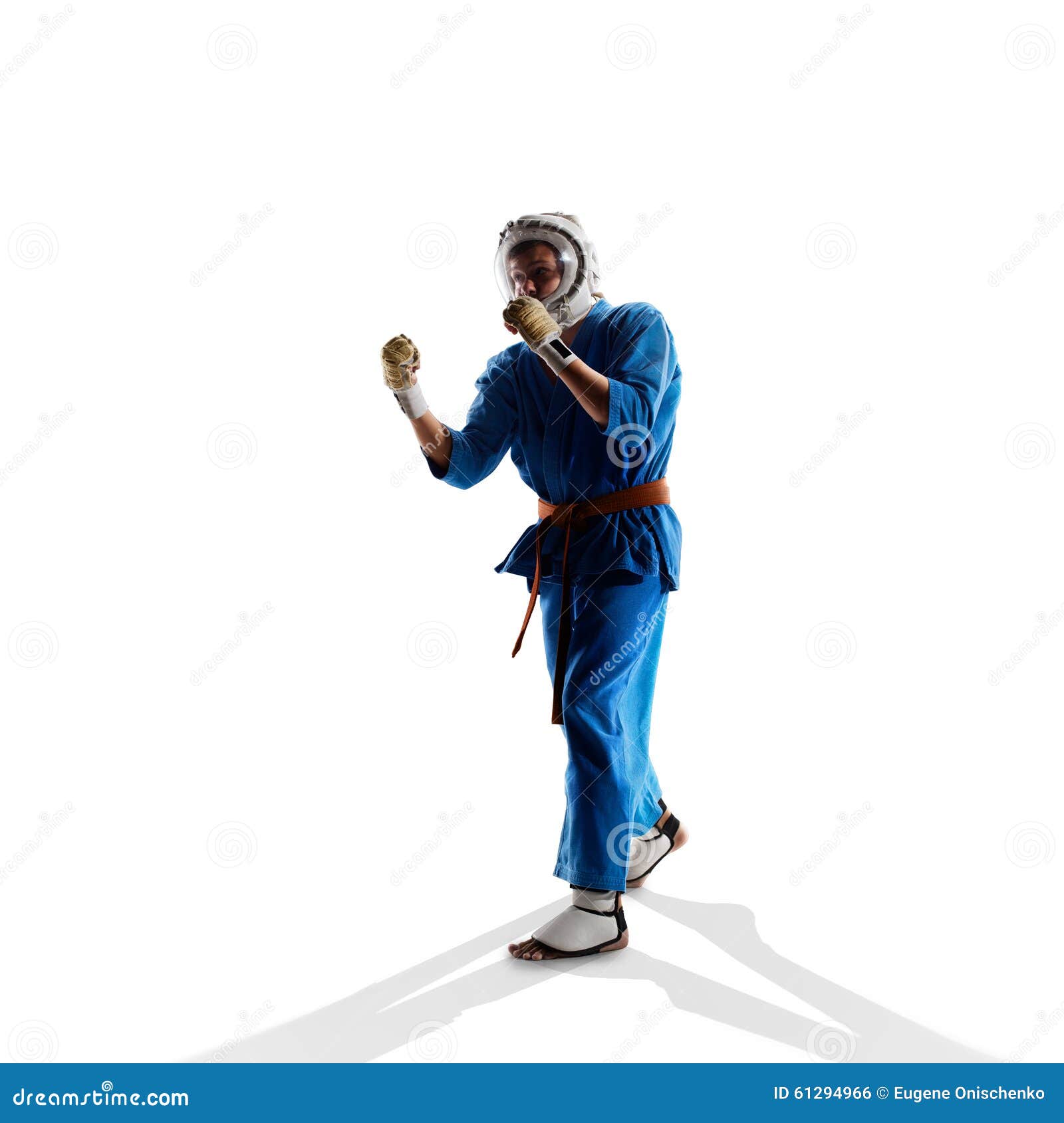 Kudo Fighters are Fighting Isolated Stock Photo - Image of beauty ...