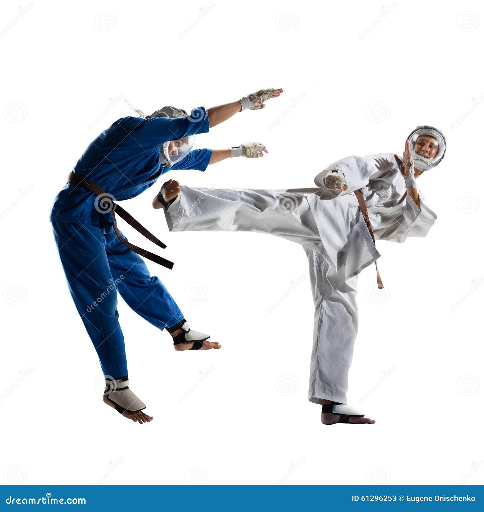 Kudo Fighters are Fighting Isolated Stock Image - Image of isolated ...