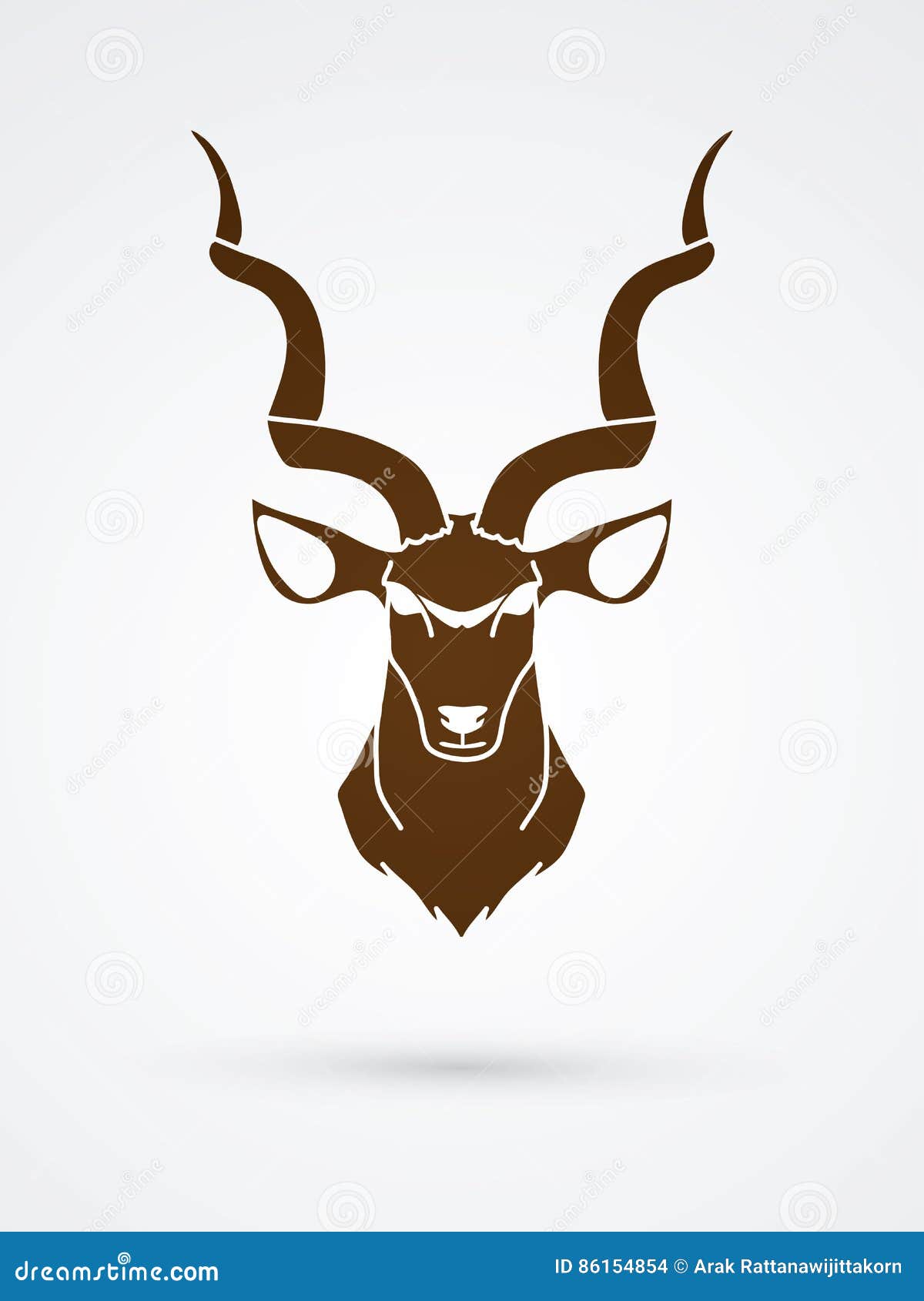 Kudu head front view stock vector. Illustration of nature - 86154854