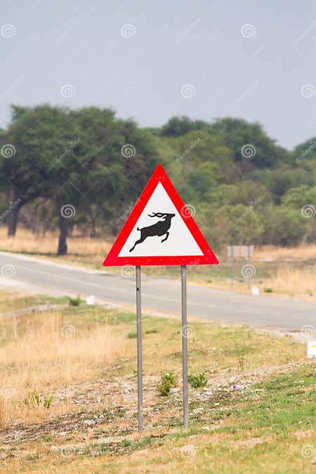 Kudu sign stock photo. Image of safari, jumping, animals - 27675298