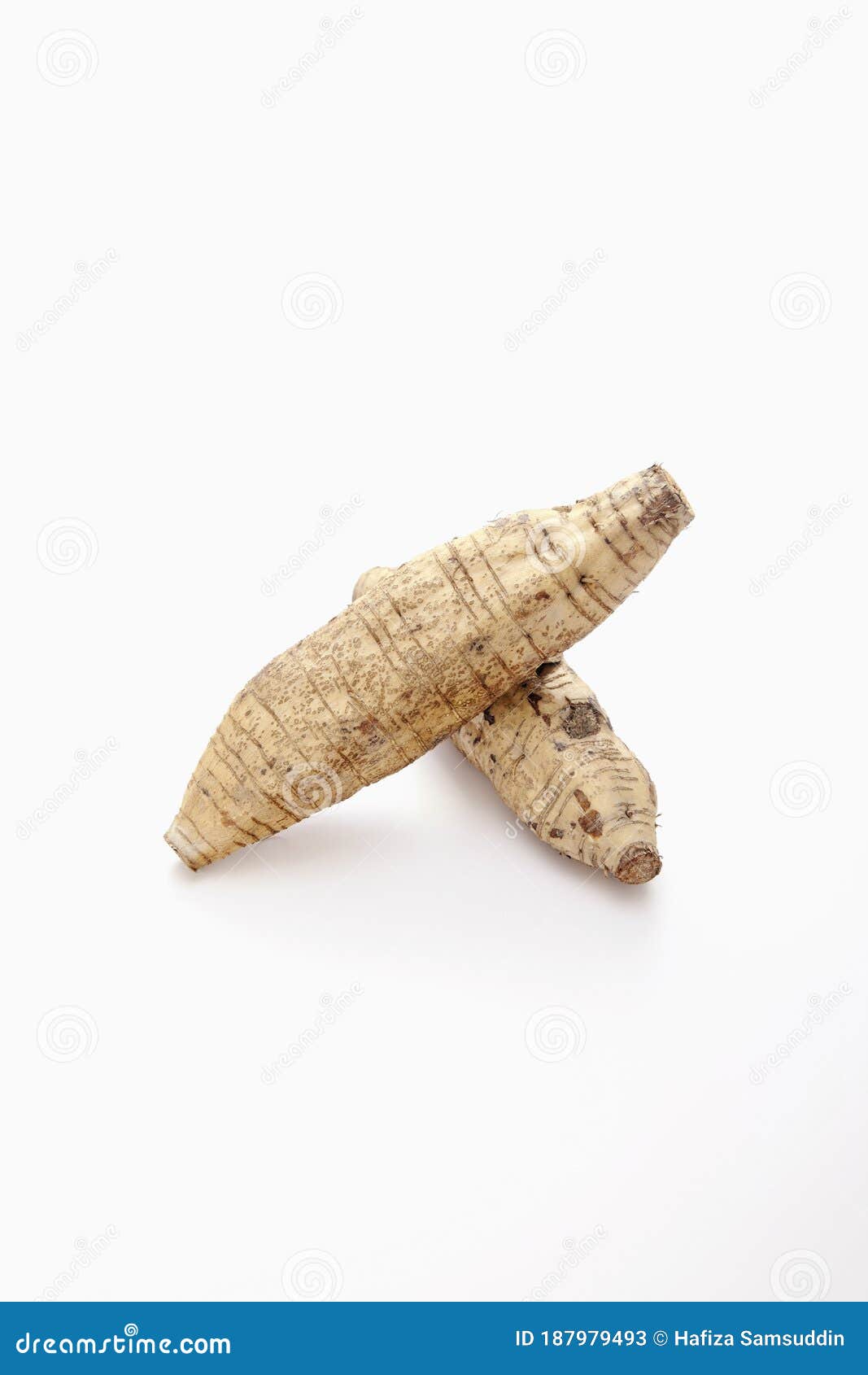 Kudzu Roots. Conceptual Image Stock Image - Image of closeup, objects ...