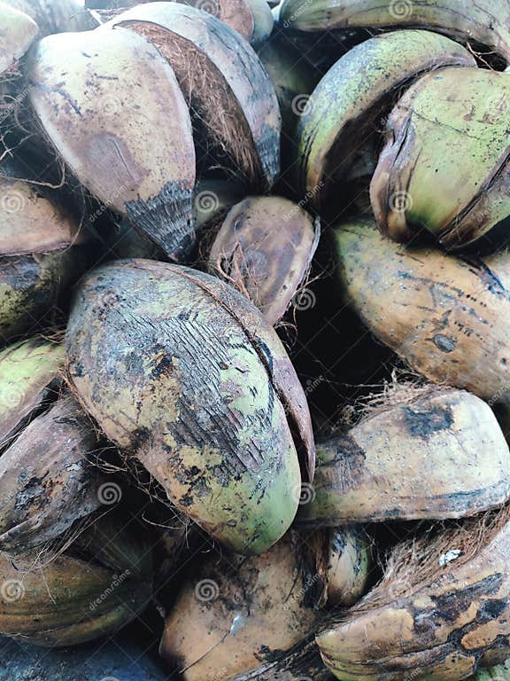 Kue Satu (in West Java and Jakarta) or Koya Cake (in Central and East ...