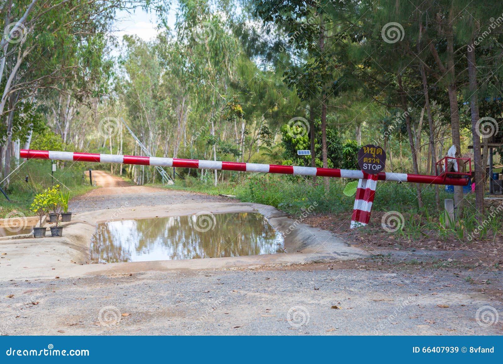 Kui Buri Elephant National Park Thailand Stock Image - Image of buri ...