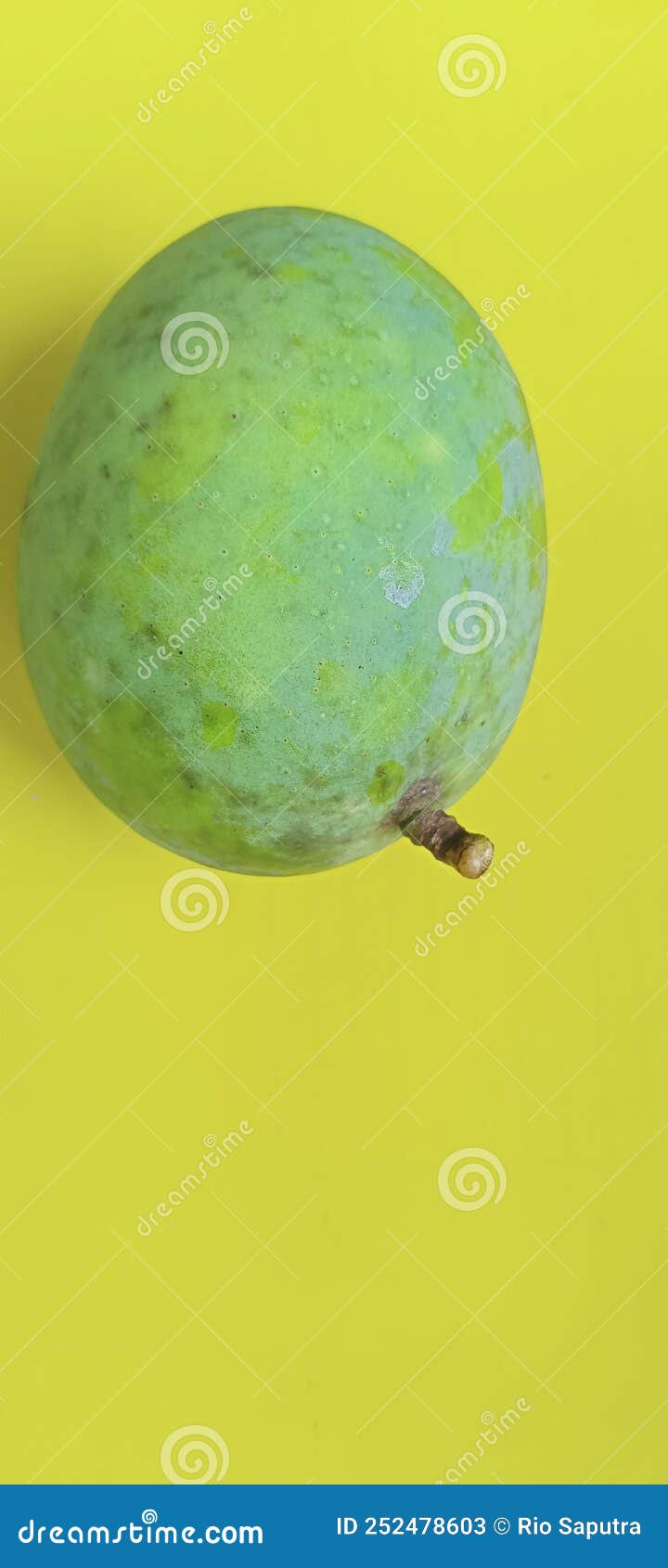 Kuini Fruit or Also Known As Mango is a Fruit Native To Indonesia Stock ...