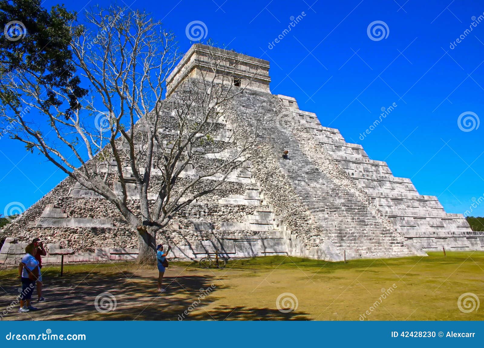 Kukulcan Pyramid Behind the Dry Tree Stock Photo - Image of itza ...