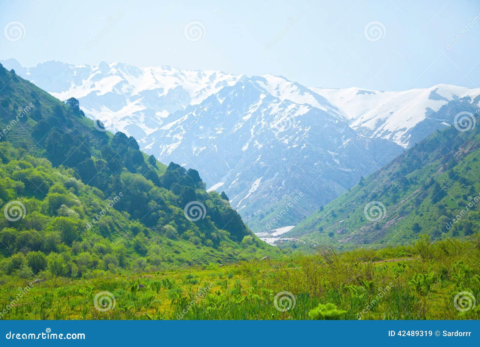 Kullar och berg fotografering för bildbyråer. Bild av högt - 42489319