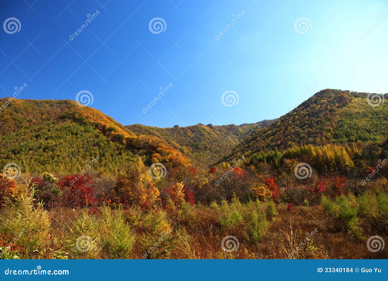 Kulle arkivfoto. Bild av ekologi, löv, natur, miljö, jilin - 33340184