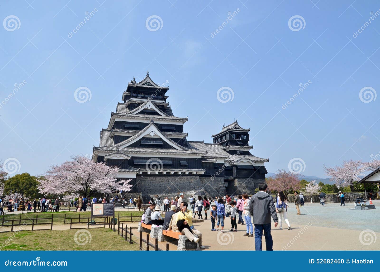 Kumamoto Castle with Sakura Editorial Image - Image of tourism, blossom ...