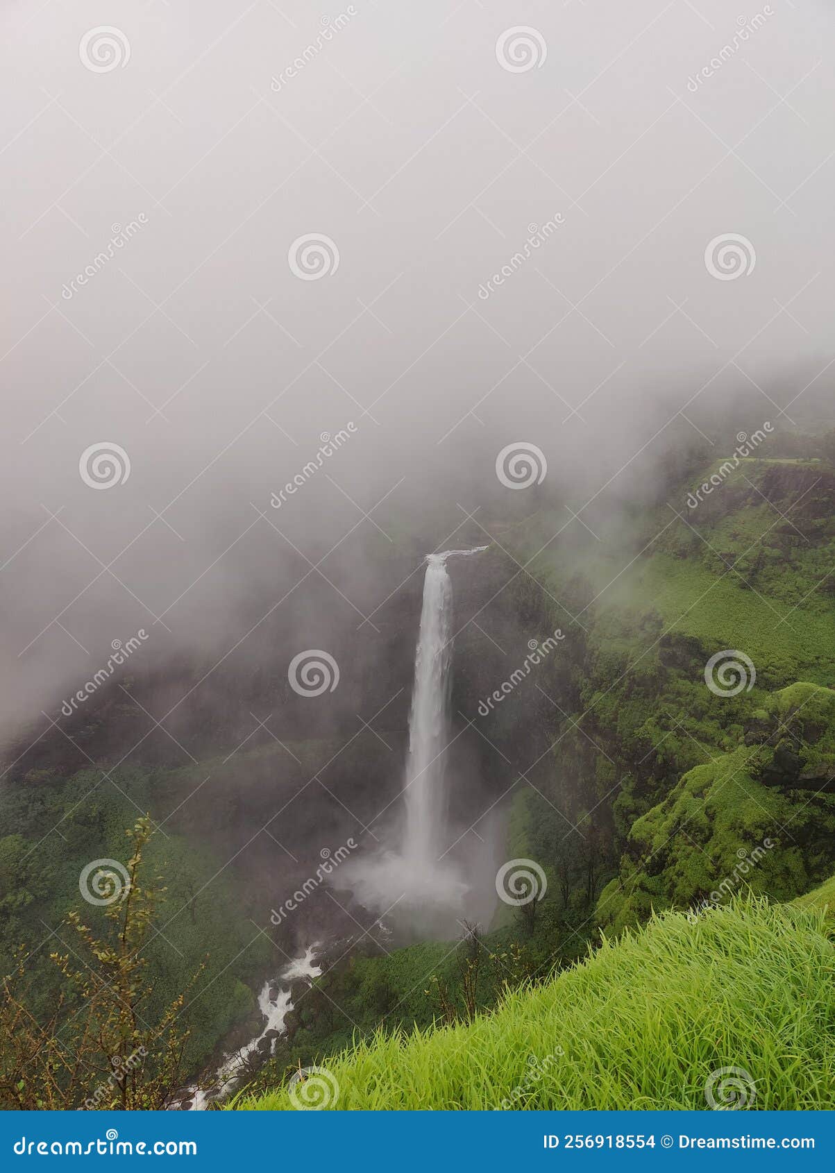 Kumbhe Waterfall in Maharashtra Stock Photo - Image of green, kumbhe ...