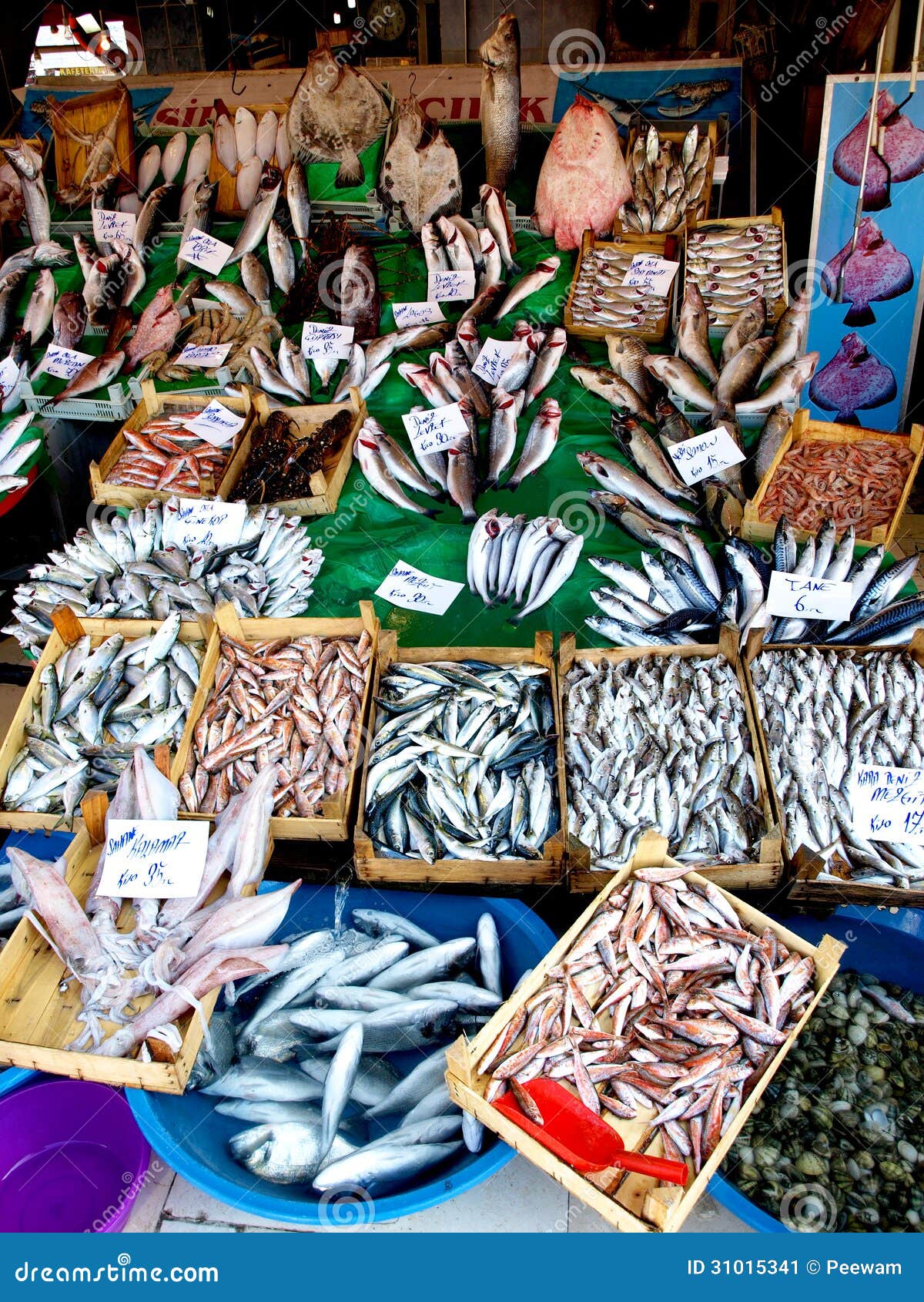 Fresh Fish for Sale Kumkapi Fish Market, Istanbul Turkey Stock Image ...