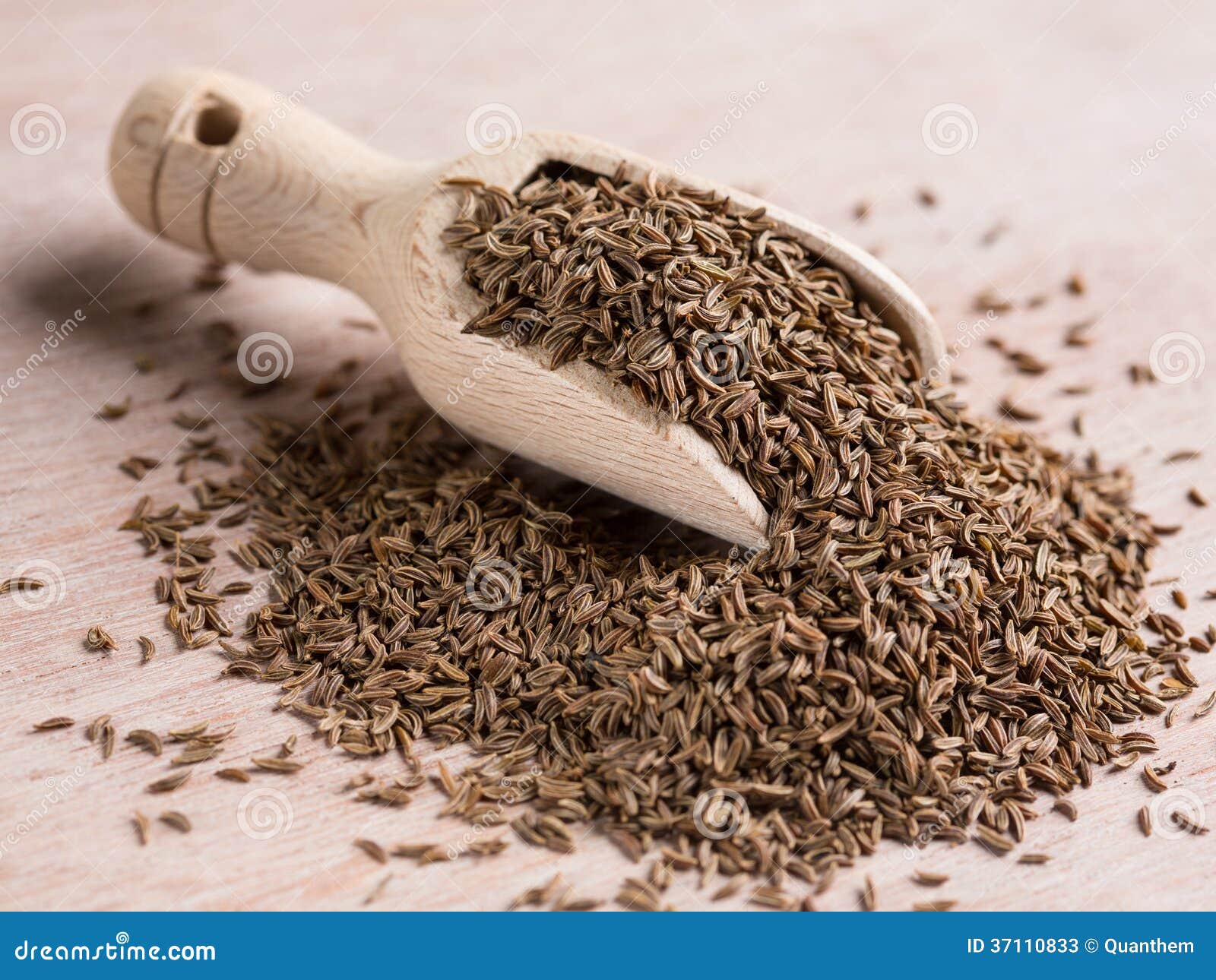 Kummel stock afbeelding. Image of komijn, specerij, zaad - 37110833