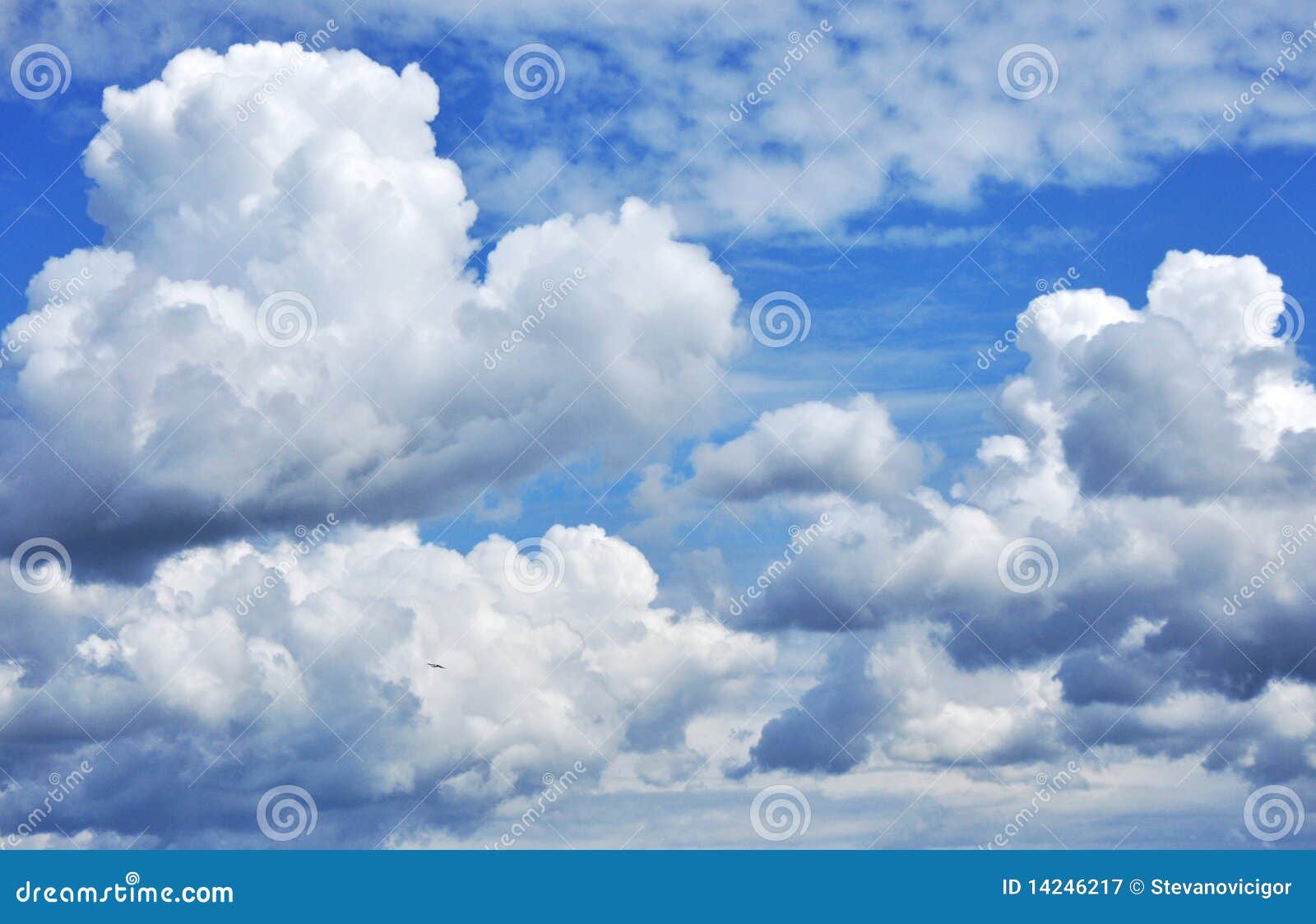 Kumulus-Wolke stockbild. Bild von cape, winter, kumulus - 14246217