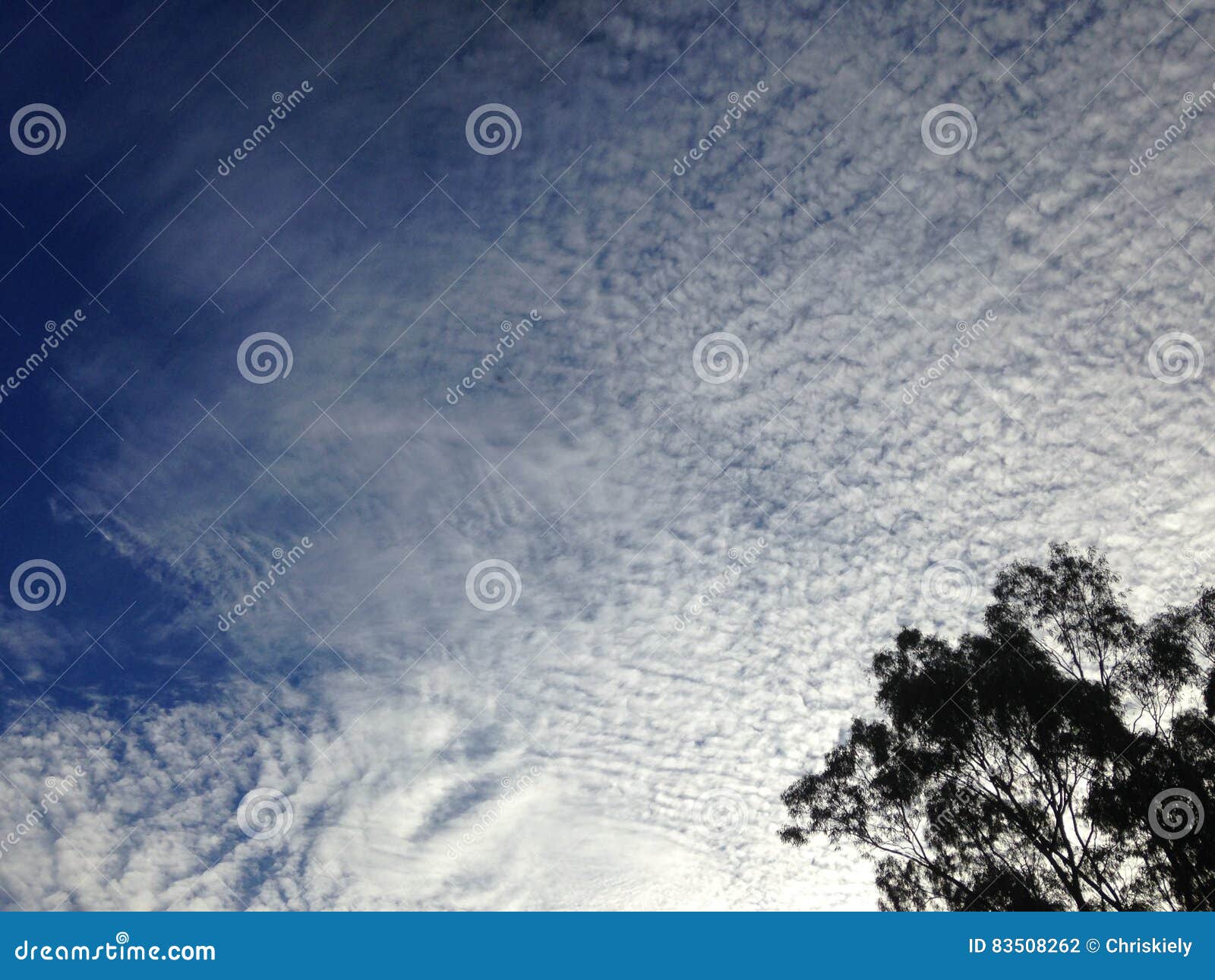 Kumulus-Wolke stockfoto. Bild von aussehen, wolken, elemente - 83508262