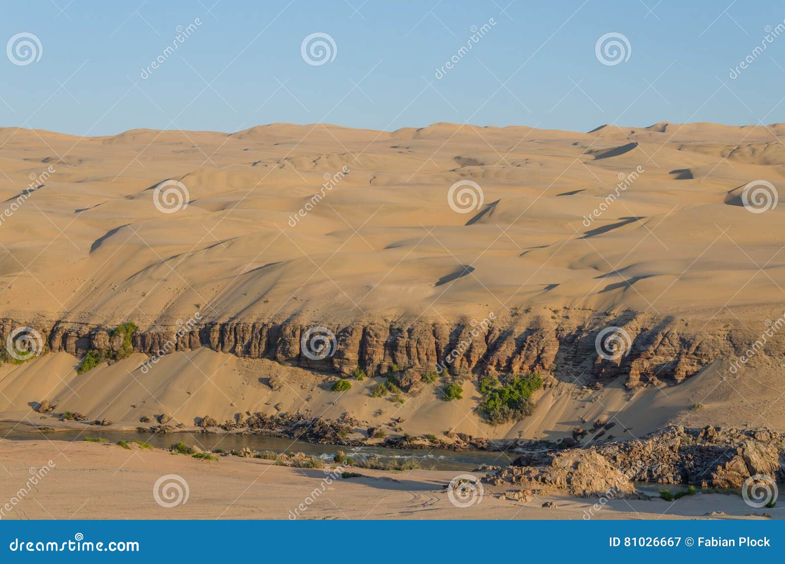 Kunene River in Front of Towering Ancient Namib Desert Sand Dunes of ...