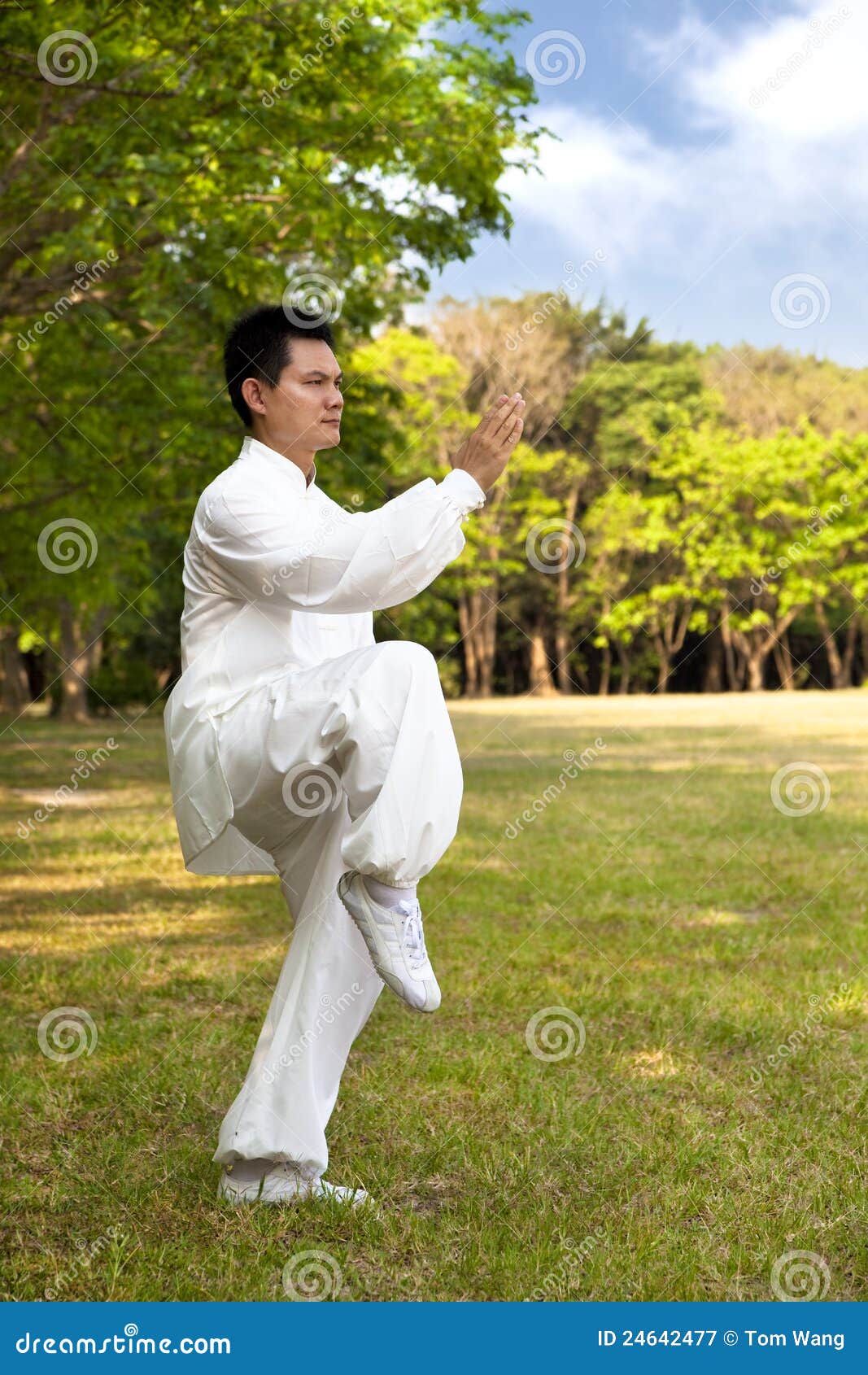 Kung fu stock image. Image of park, gesture, muscle, eastern - 24642477