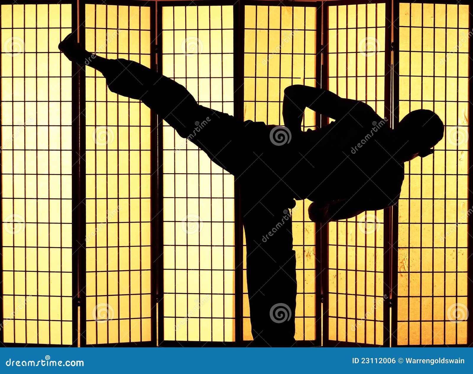 Kung fu kick stock photo. Image of athletic, fitness - 23112006